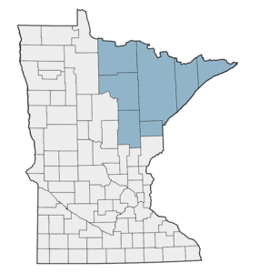 Northeast Minnesota Chapter - Minnesota Council of Nonprofits