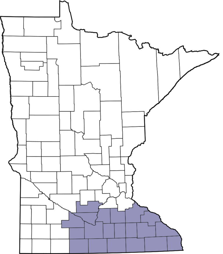 Southeast Minnesota Chapter - Minnesota Council of Nonprofits