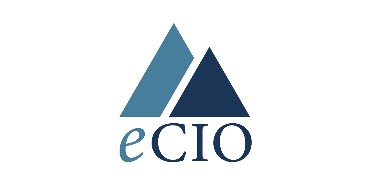 eCIO: The Chief Investment Officer for Nonprofits - Minnesota Council of Nonprofits